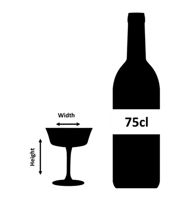 1910 Fizzio Champagne Glass Coupe 26cl – Urban Bar USA